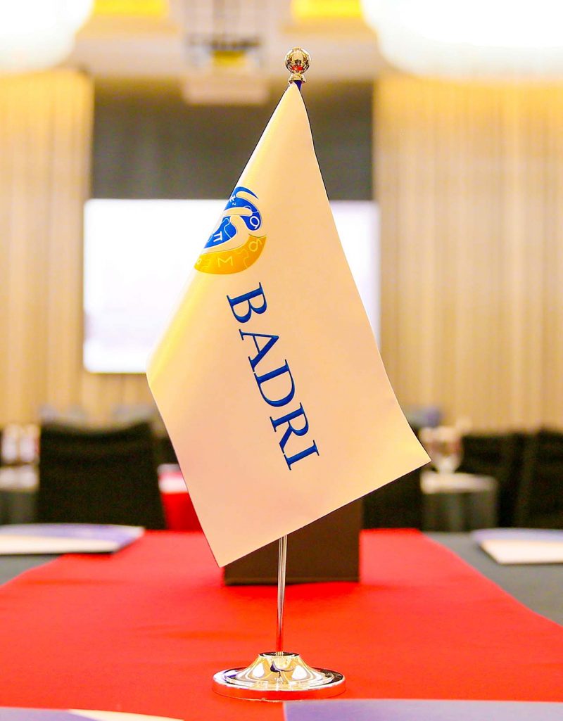 Careers - Badri Management Consultancy